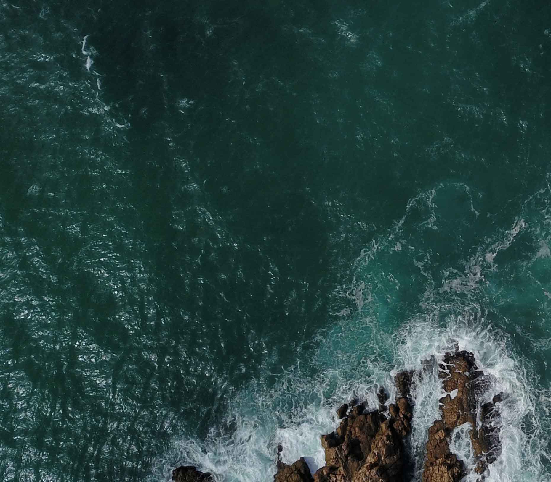 Contact Us - Regency Capital Management